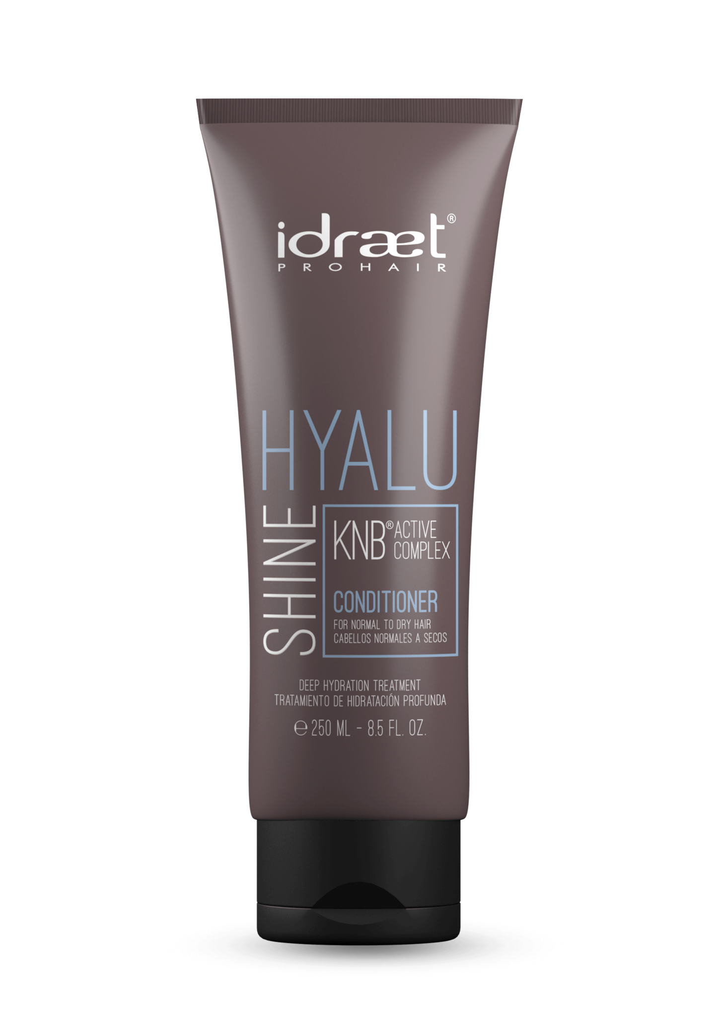 Hyalu Shine Conditioner – Idraet Pro Hair